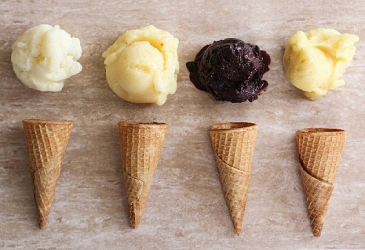 Fragolate, un viaje por la Amazonia y por nuestros recuerdos ...